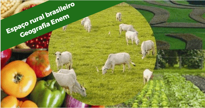 O espaço rural brasileiro e suas características - Geografia Enem