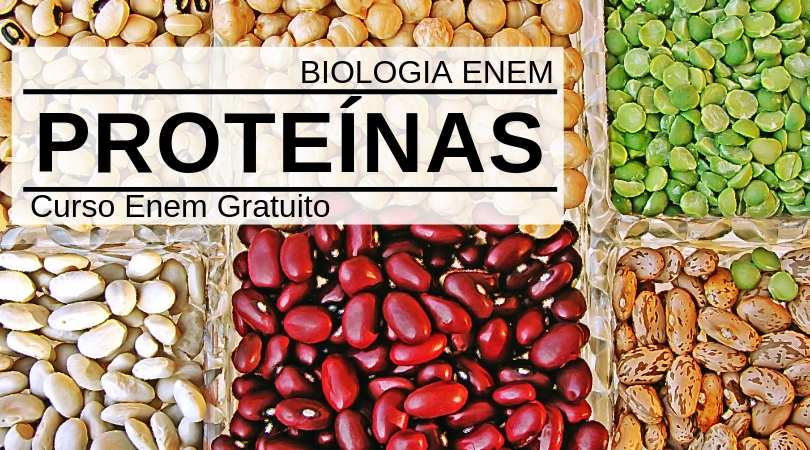 Proteínas - Componentes estruturais das células - Resumo Biologia Enem