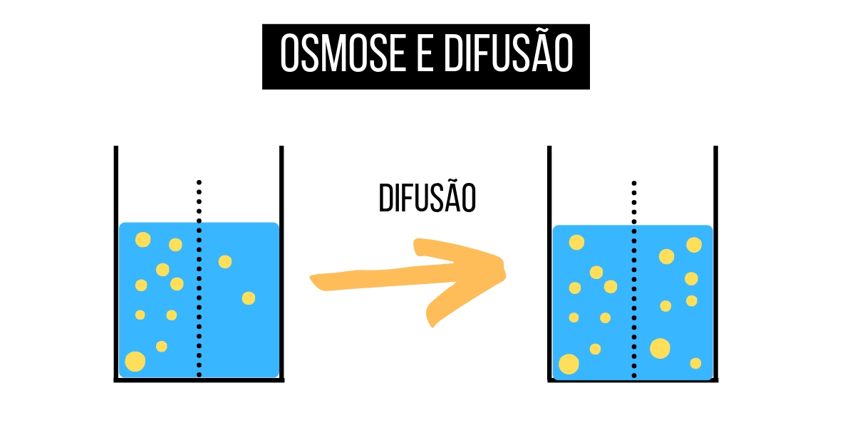 Osmose e Difusão: transportes passivos - Resumo Biologia Enem
