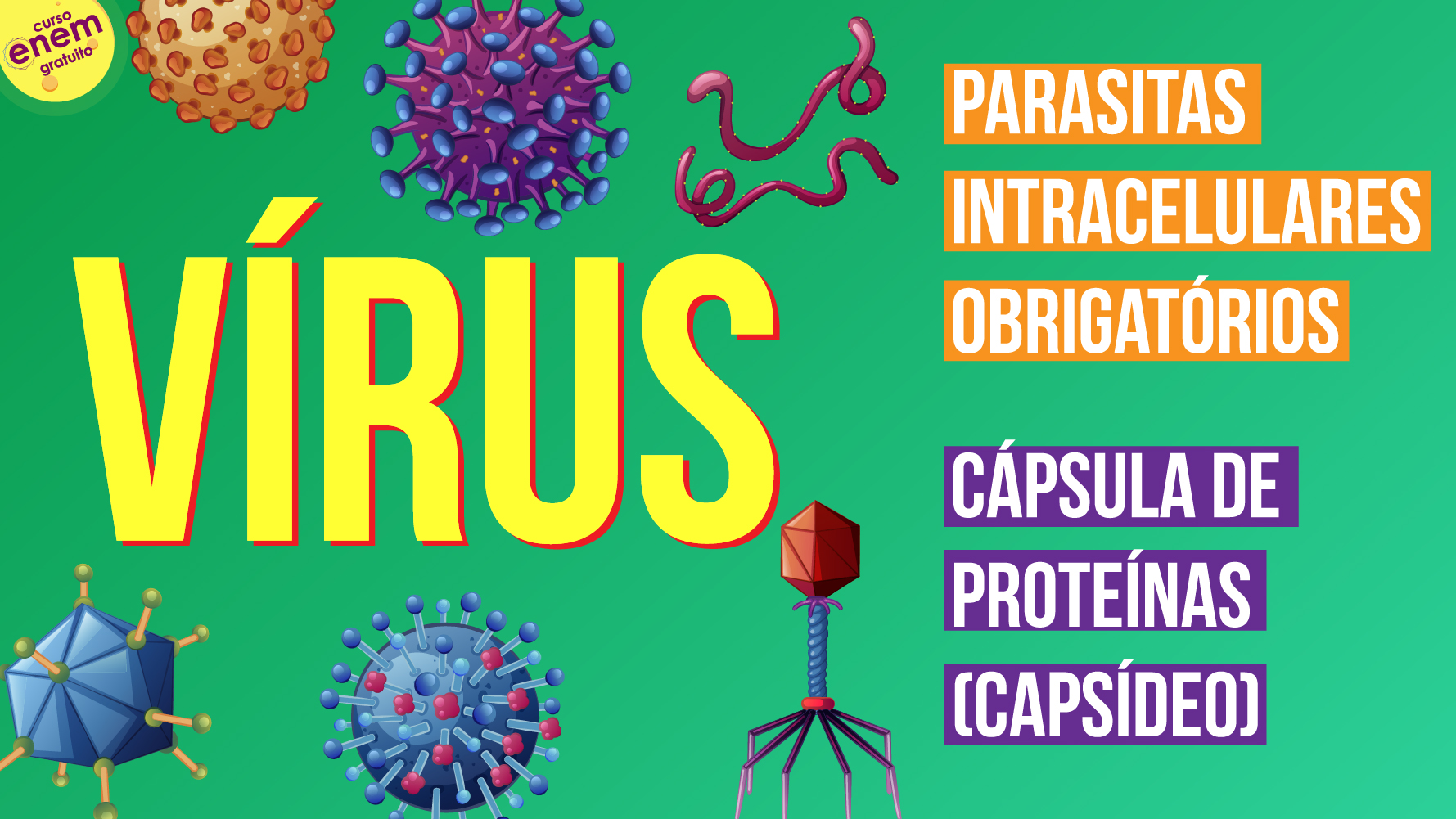Vírus: o que são e características - Resumo de Biologia Enem